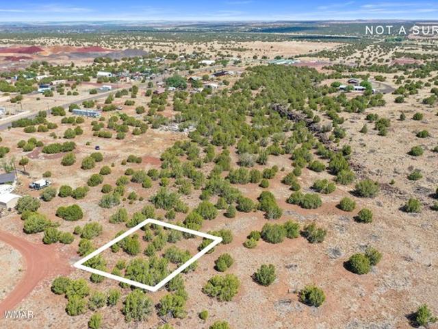 8798 Robbins Pl, Show Low, AZ 85901