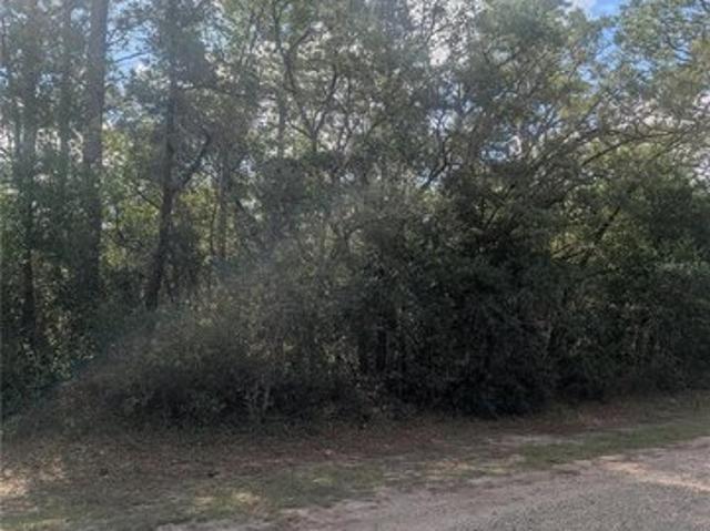 8791 N Folland Dr, Dunnellon, FL 34433