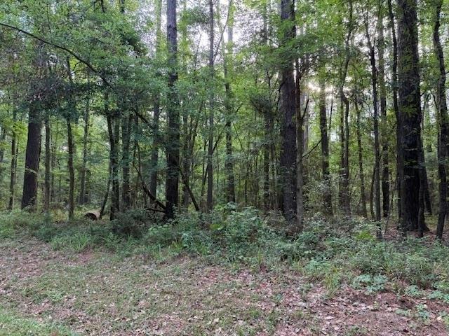 879 Dr Lot Admiral, Hemphill, TX 75948