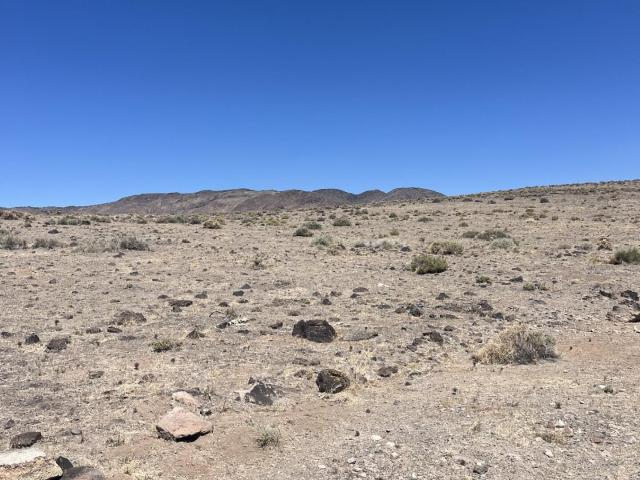 8800 Wildflower Rd, Stagecoach, NV 89429 | MLS #250052