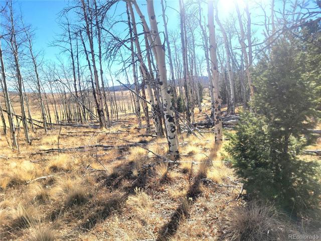 8802 Ranch Road