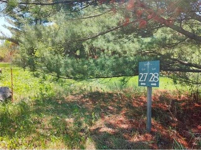 88034 Sweet Fern Loop, Tower, MN 55790