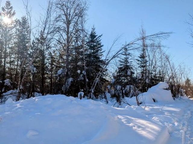 880 Maura St Lot 13, Fairbanks, AK 99709