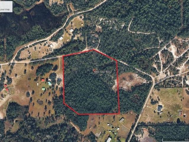 880 Still Rd, Pierson, FL 32180