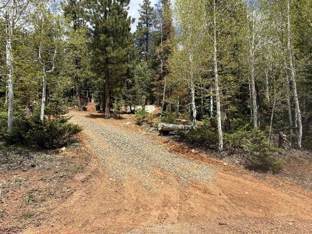 880 W Bear Track Dr, Duck Creek Village, UT 84762