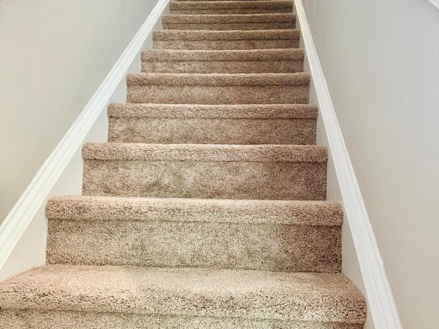 8815 Orchard Grove Way, Raleigh, NC 27612 | MLS #10160