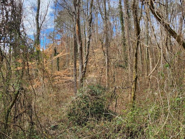 8815 Gann Road