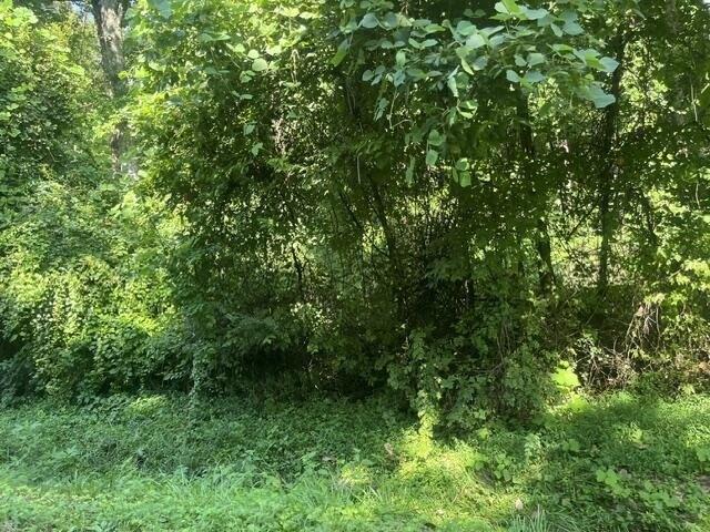8815 Gann Rd Lot 4, Soddy Daisy, TN 37379