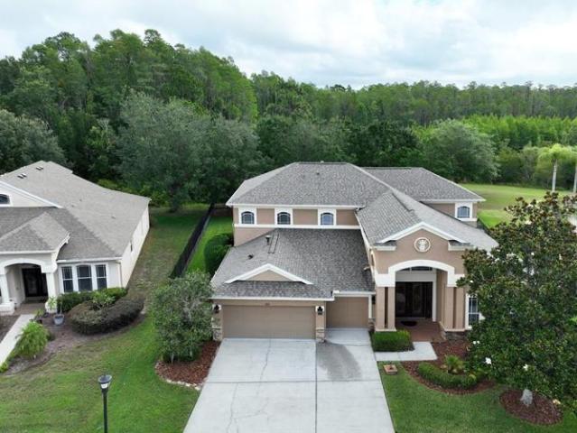 8816 Crystal Creek Ct, Land O Lakes, FL 34638