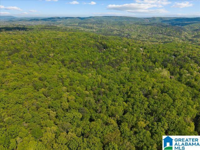 8810 Pine Mountain Road # 0