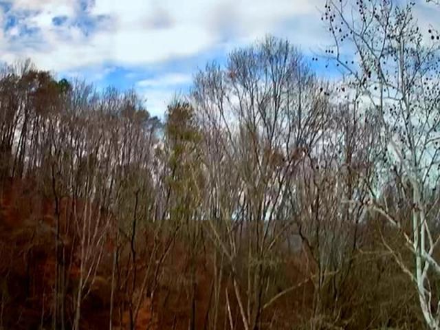 8813 Gann Rd, Soddy Daisy, TN 37379