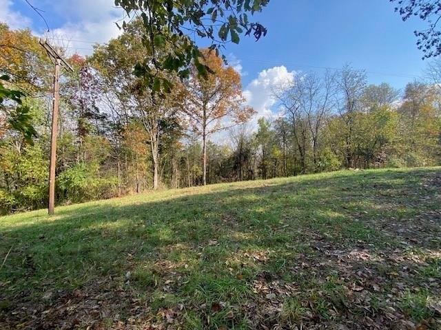 881 Galbraith Rd, Brooksville, KY 41004