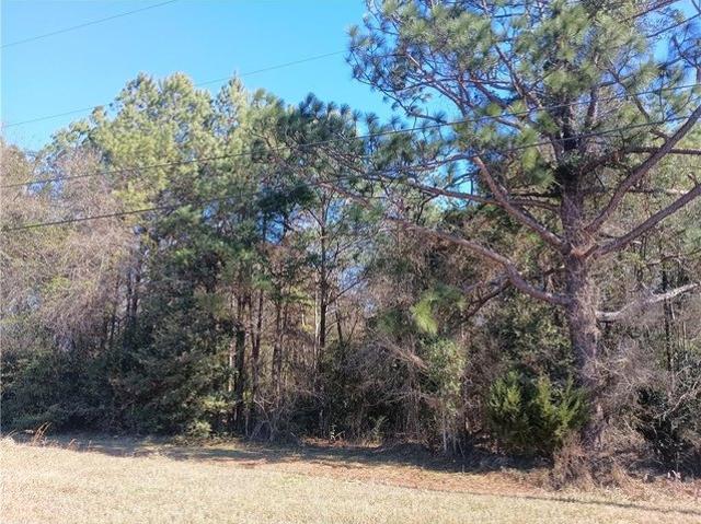 8820 Broadus Loop Rd, Eight Mile, AL 36613