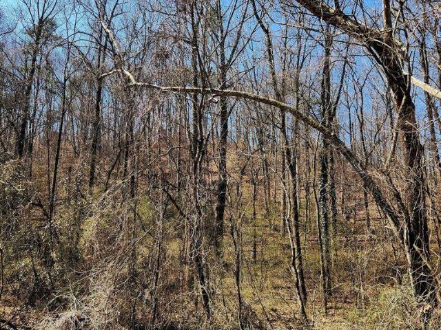 8821 Gann Rd, Unit 1, Soddy Daisy, TN 37379 | MLS #1527