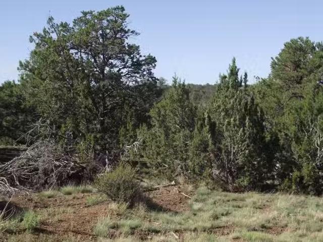 882 E Little Horse Rd #153, Williams, AZ 86046 MLS 197980
