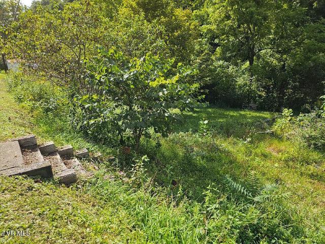 8835 Maple Road