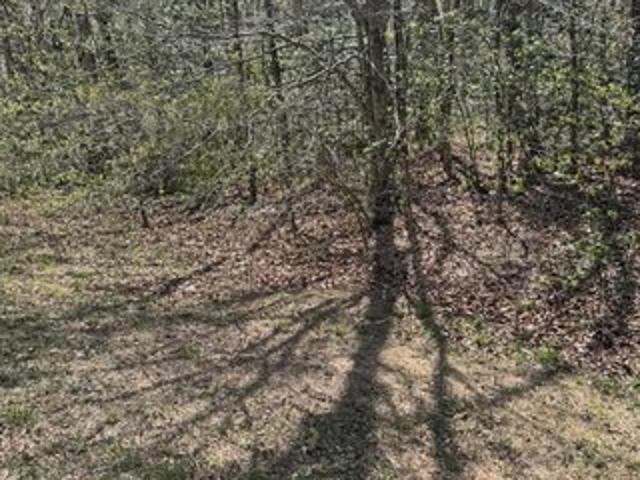 8839 Old Block House Ln, Spotsylvania, VA 22551
