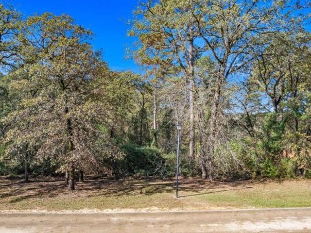 8831 Wilder Trl, Tyler, TX 75703