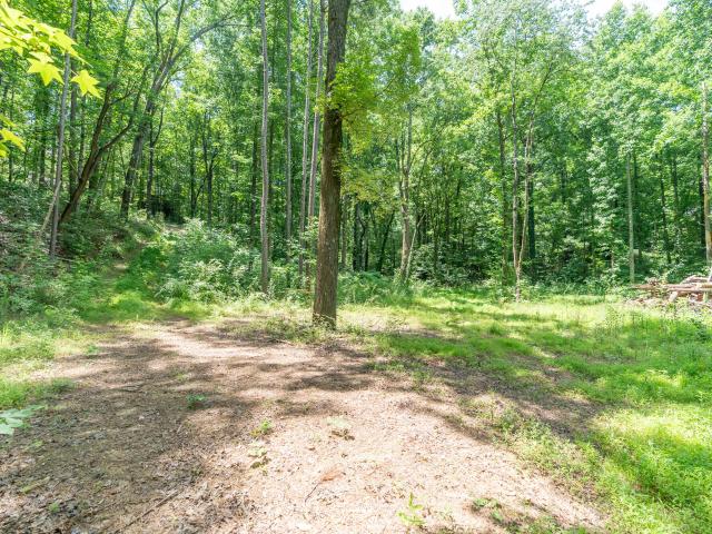 8833 Kelso Lane