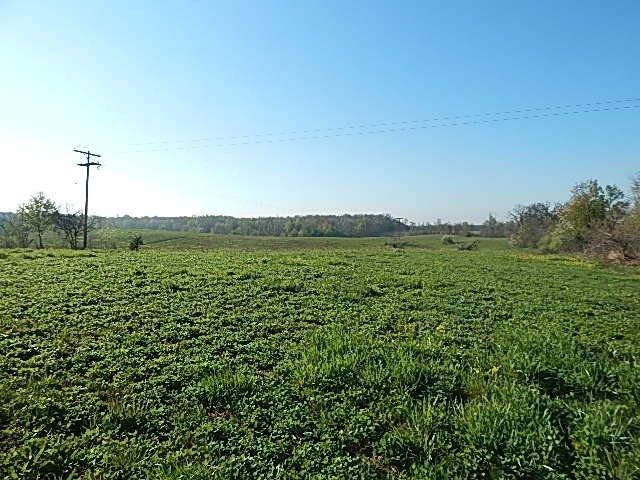 8833 W Territorial Rd, Camden, MI 49232