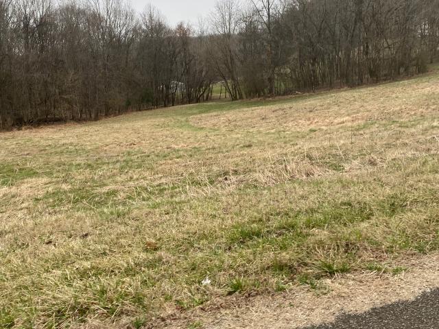 883 Scenic Cir, Pulaski, TN 38478 | MLS #3135