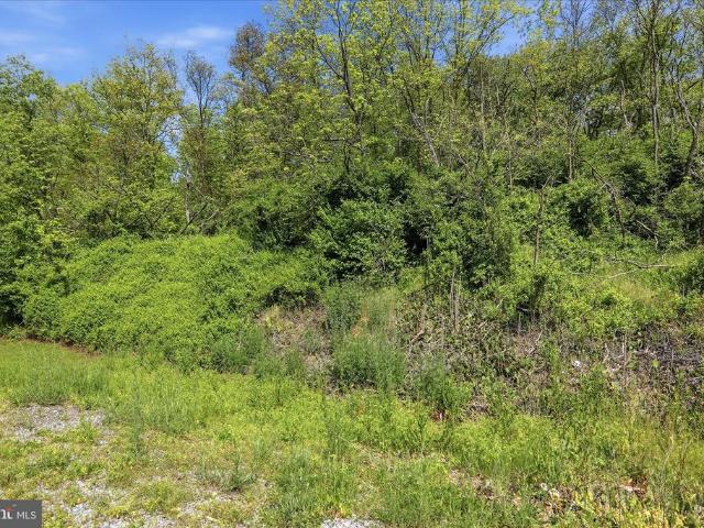8849 Willowdale Road. Lot 23