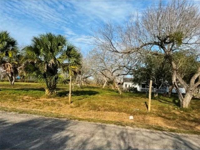 8841 County Road 614 Lot 12, Skidmore, TX 78389