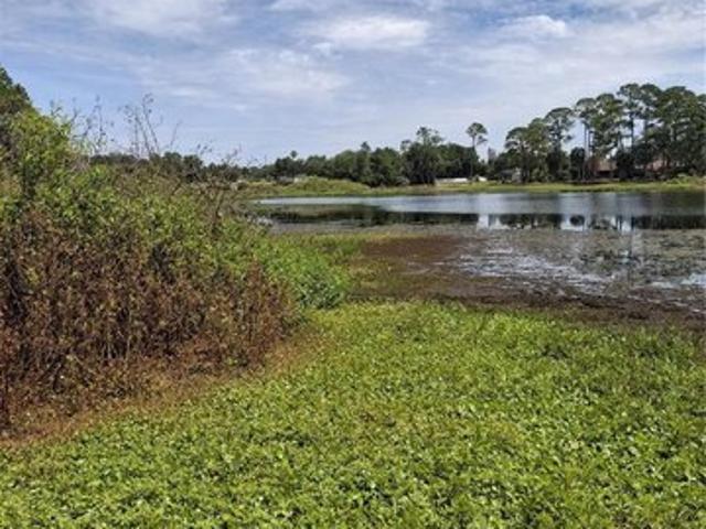 885 E Lehigh Dr, Deltona, FL 32738