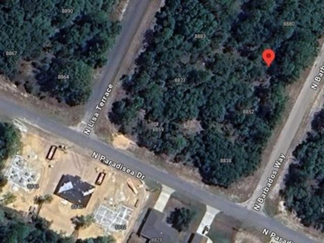 8864 N Barbados Way, Citrus Springs, FL 34433