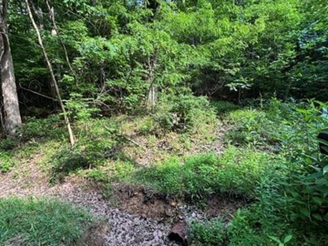 886 Coleman Rd, West Portsmouth, OH 45663