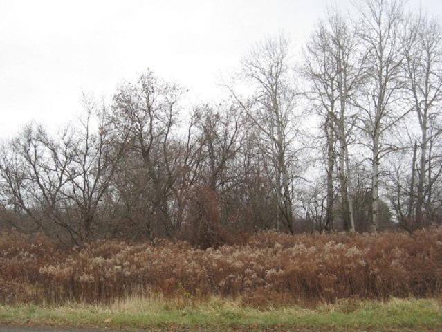 886 Blockville Watts Flats Rd, Ashville, NY 14710