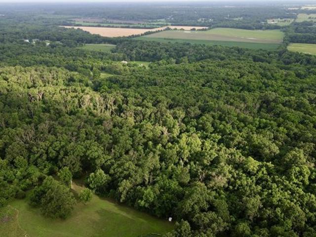 8879 County Lane 87, Carthage, MO 64836