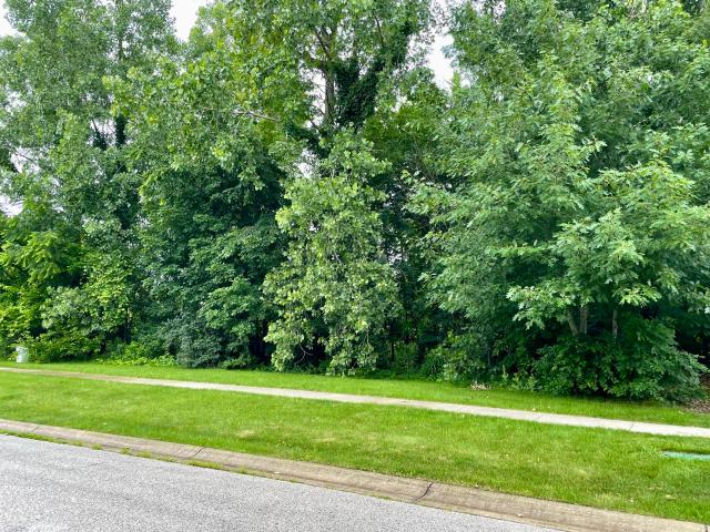 887 Hemingway Trail