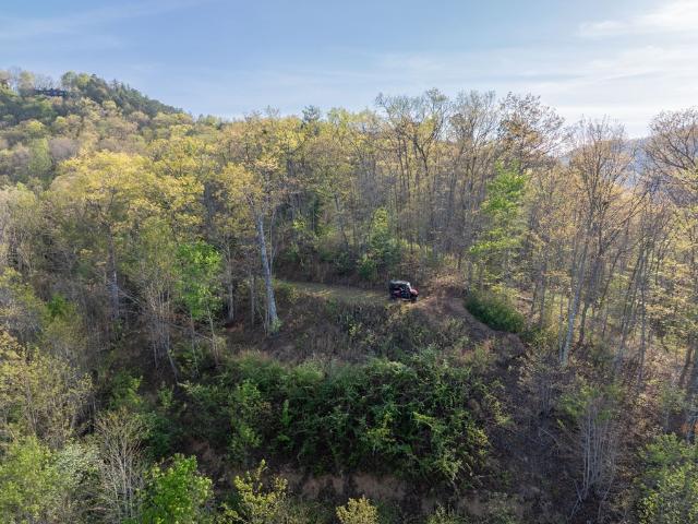 8888 Yellow Branch Road