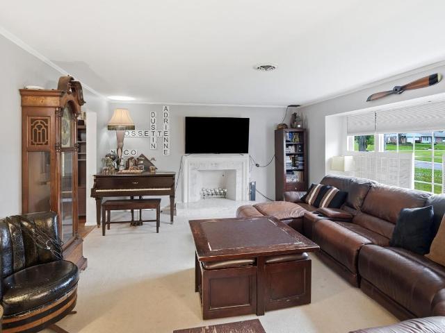 8881 Paw Lane