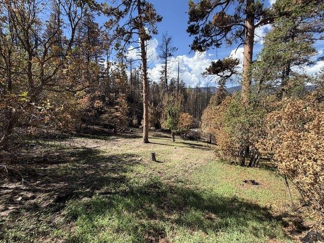 8890 Ula Trl, Beulah, CO 81023