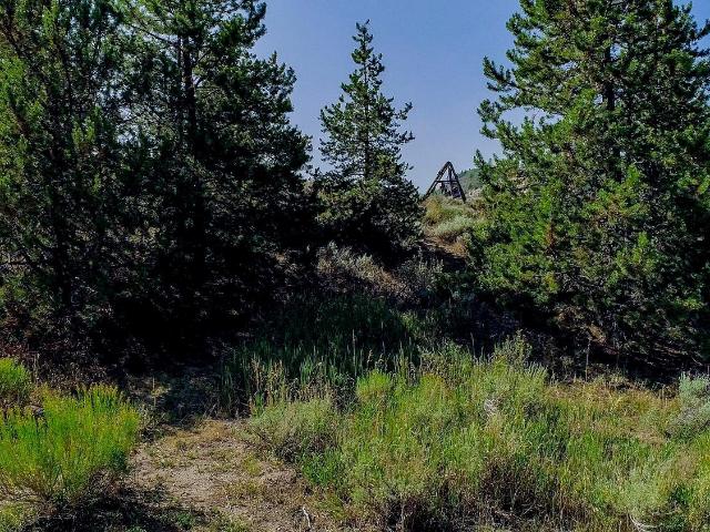 889 E Anemone Trail
