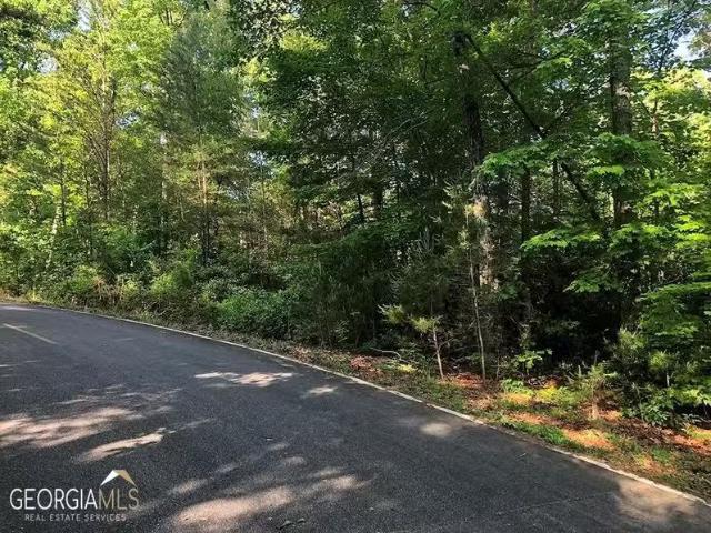 889 Wildcat Dr, Jasper, GA 30143 MLS 10299248