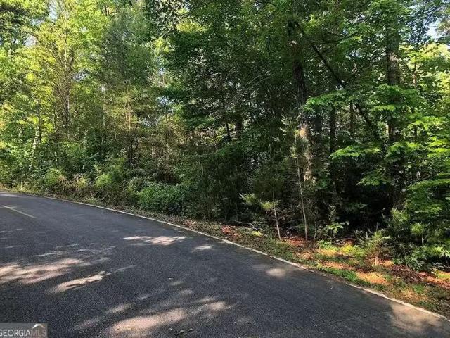 889 Wildcat Dr, Jasper, GA 30143 MLS 10359261