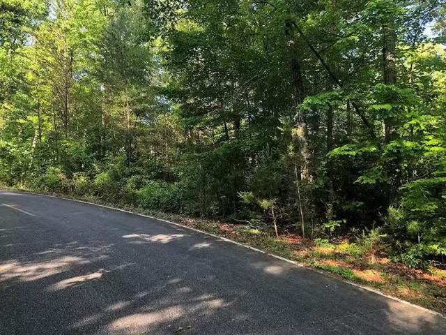 889 Wildcat Dr, Jasper, GA 30143 MLS 7439927