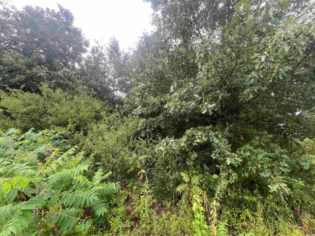 88 1661 Road