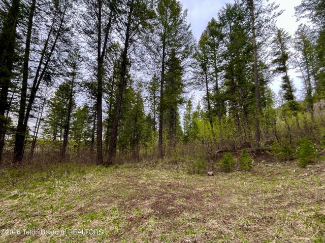 88 acres Lone Star Rd, Bedford, WY 83112 | MLS #26 712 | Compass