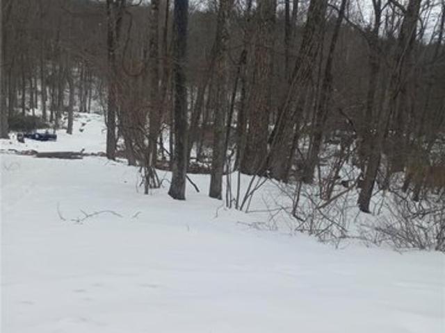 88 Bear Cub Path Trl, Pocono Township, PA 18355