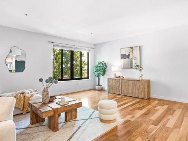 88 Bush Street 3161