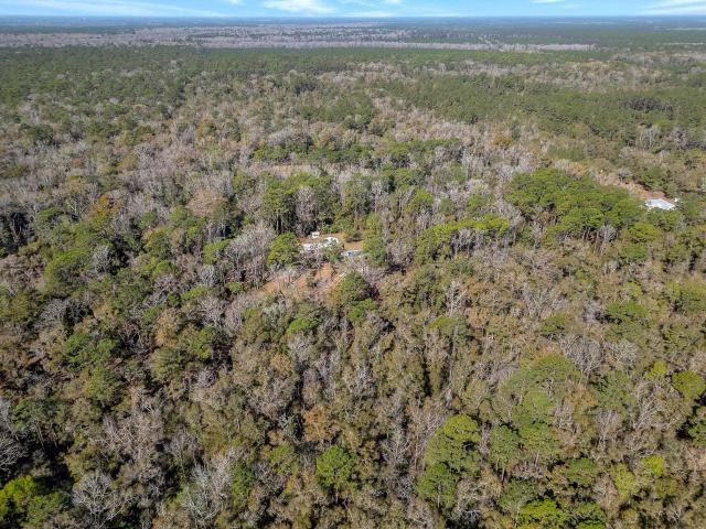 88 Canopy Ln, Crawfordville, FL 32327 | MLS #396978 | Compass