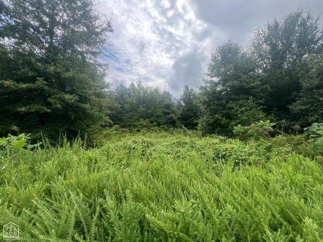 88 County Road 1661, Corning, AR 72422