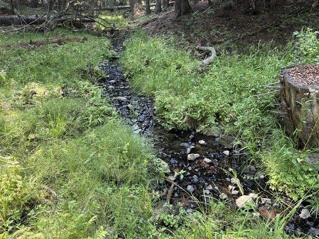 88 Farrens Creek Ln, Grangeville, ID 83530