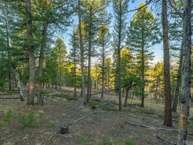 88 Malmsey Ln, Divide, CO 80814