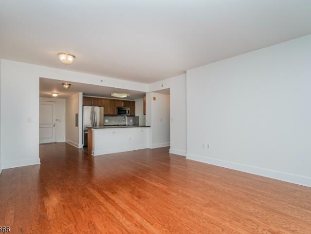 88 Morgan St # 3701