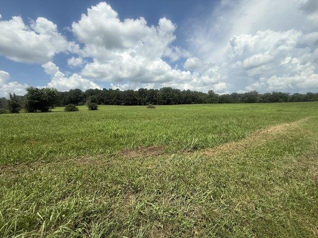 88 Peninsula Blvd, Jamestown, KY 42629